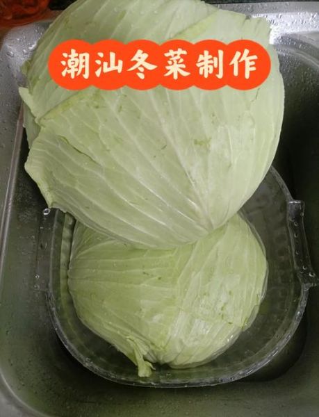 冬菜的做法大全_冬菜怎么做才好吃-第1张图片-山城妙识