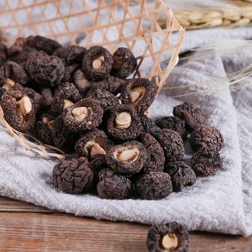 珍珠菇的功效与作用_珍珠菇怎么吃最营养-第3张图片-山城妙识