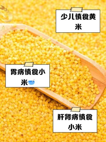 每天吃小黄米的危害_小黄米吃多了会怎么样-第1张图片-山城妙识 每天吃小黄米的危害_小黄米吃多了会怎么样-第1张图片-山城妙识