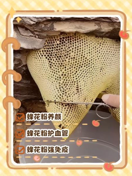 女人吃蜂花粉的副作用有哪些_如何避免-第1张图片-山城妙识 女人吃蜂花粉的副作用有哪些_如何避免-第1张图片-山城妙识