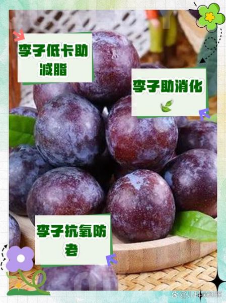 李子热量高吗_李子能减肥吗-第1张图片-山城妙识