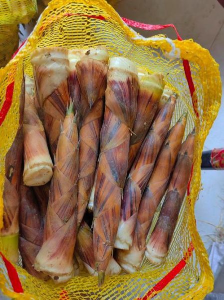 甜竹笋怎么保存_甜竹笋图片大全-第2张图片-山城妙识 甜竹笋怎么保存_甜竹笋图片大全-第2张图片-山城妙识