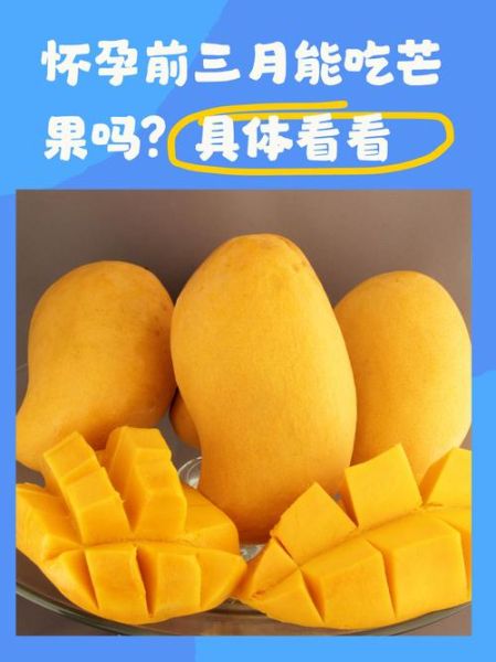 孕妇可以吃芒果吗初期_怀孕前三个月吃芒果安全吗-第1张图片-山城妙识 孕妇可以吃芒果吗初期_怀孕前三个月吃芒果安全吗-第1张图片-山城妙识