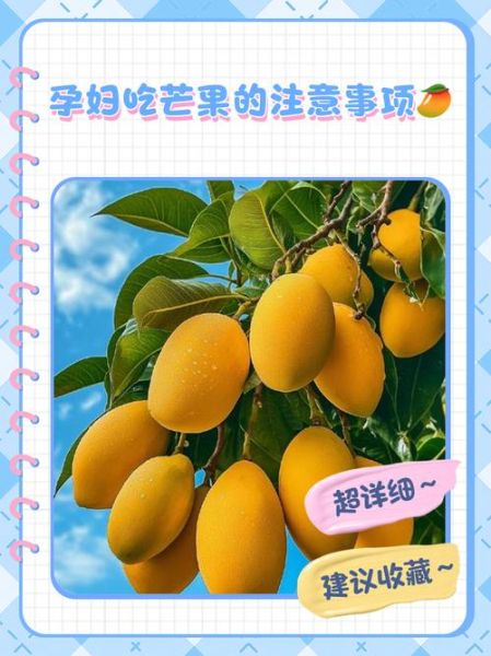 孕妇可以吃芒果吗初期_怀孕前三个月吃芒果安全吗-第2张图片-山城妙识 孕妇可以吃芒果吗初期_怀孕前三个月吃芒果安全吗-第2张图片-山城妙识