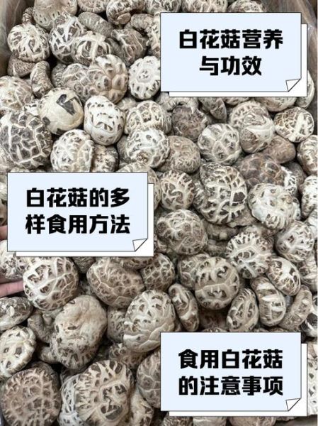 野生花菇的功效与作用_野生花菇怎么吃最营养-第3张图片-山城妙识