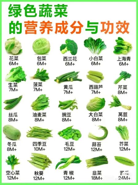 蔬菜营养成分表图怎么看_哪些蔬菜营养最高-第3张图片-山城妙识