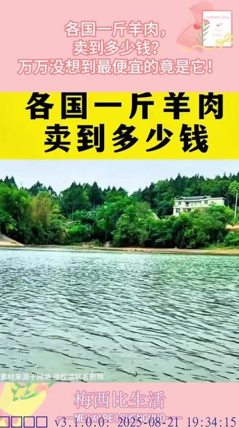 2019年羊肉多少钱一斤_为什么羊肉价格差异这么大-第3张图片-山城妙识 2019年羊肉多少钱一斤_为什么羊肉价格差异这么大-第3张图片-山城妙识