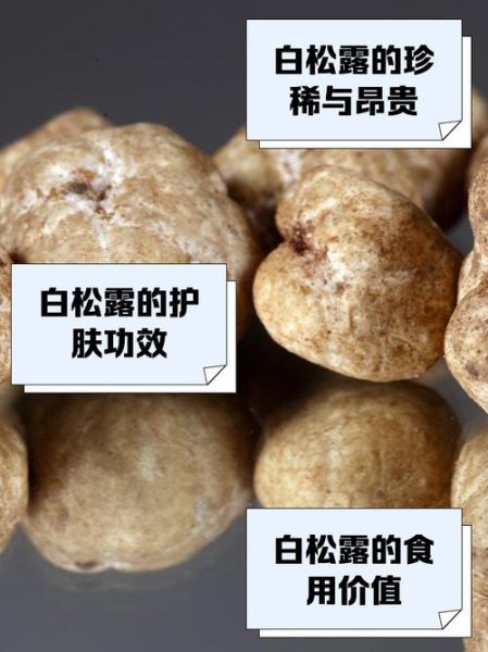 白松露长什么样子_白松露外观特征-第2张图片-山城妙识