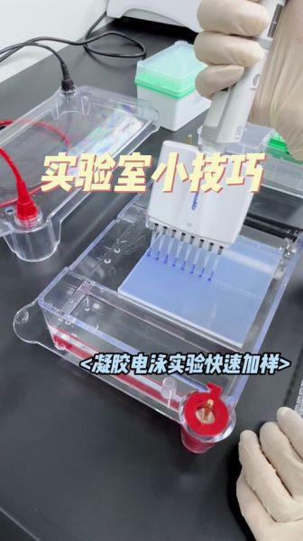 琼脂糖凝胶电泳条带模糊怎么办_如何避免拖尾现象-第1张图片-山城妙识