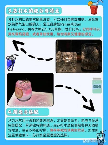 苏打水是碳酸饮料吗_苏打水与碳酸饮料区别-第1张图片-山城妙识