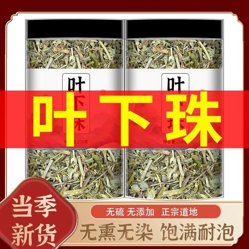 叶下珠的功效与作用_叶下珠的副作用有哪些-第3张图片-山城妙识