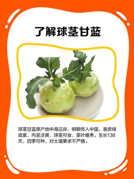 球茎甘蓝怎么做好吃_球茎甘蓝的家常做法-第1张图片-山城妙识 球茎甘蓝怎么做好吃_球茎甘蓝的家常做法-第1张图片-山城妙识