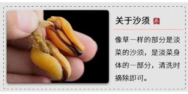 淡菜干粥的功效与禁忌_适合什么人吃-第3张图片-山城妙识