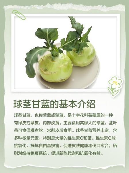 球茎甘蓝怎么做好吃_球茎甘蓝的家常做法-第2张图片-山城妙识 球茎甘蓝怎么做好吃_球茎甘蓝的家常做法-第2张图片-山城妙识