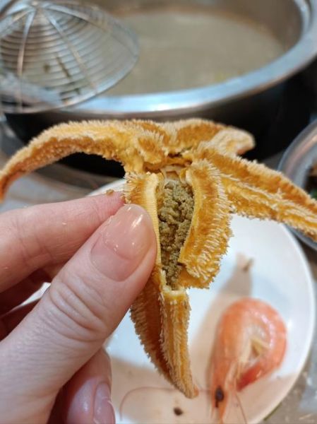 儿童可以吃海星吗_海星对儿童的功效与作用-第1张图片-山城妙识