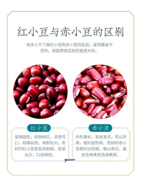 赤小豆和红豆哪个好_赤小豆和红豆的区别-第1张图片-山城妙识 赤小豆和红豆哪个好_赤小豆和红豆的区别-第1张图片-山城妙识
