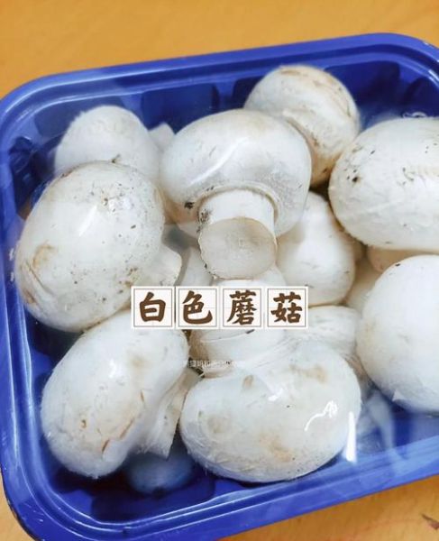 双孢菇用焯水吗_焯水后营养会流失吗-第1张图片-山城妙识 双孢菇用焯水吗_焯水后营养会流失吗-第1张图片-山城妙识