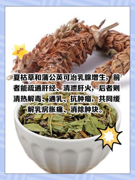 蒲公英治甲状腺结节偏方_真的有效吗-第2张图片-山城妙识