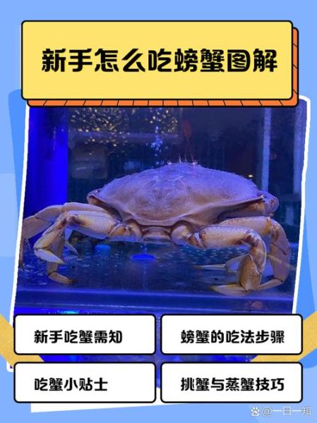 如何吃螃蟹图解_螃蟹怎么吃步骤-第1张图片-山城妙识