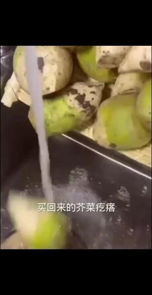 芥菜丝怎么腌制好吃_10斤芥菜丝腌制配方-第3张图片-山城妙识 芥菜丝怎么腌制好吃_10斤芥菜丝腌制配方-第3张图片-山城妙识