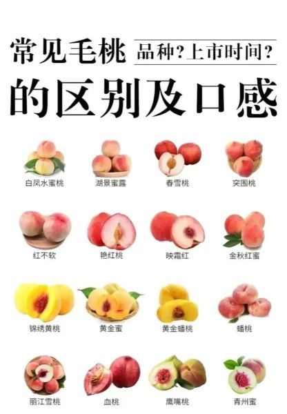 毛桃是热性还是凉性_毛桃吃多了会上火吗-第1张图片-山城妙识