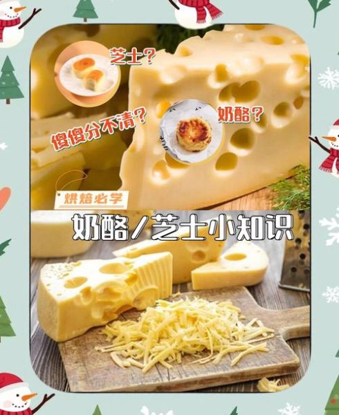 奶酪和芝士一样吗_区别在哪里-第2张图片-山城妙识 奶酪和芝士一样吗_区别在哪里-第2张图片-山城妙识
