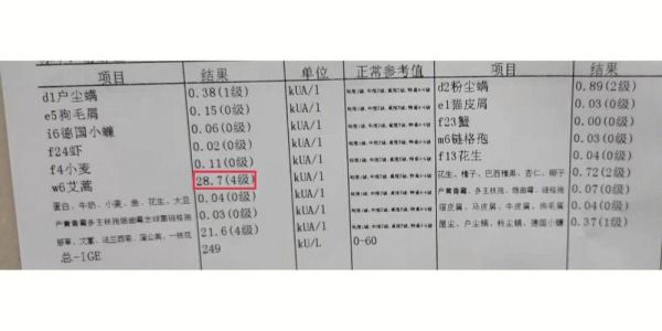 艾蒿过敏不能吃什么_艾蒿过敏饮食禁忌-第2张图片-山城妙识