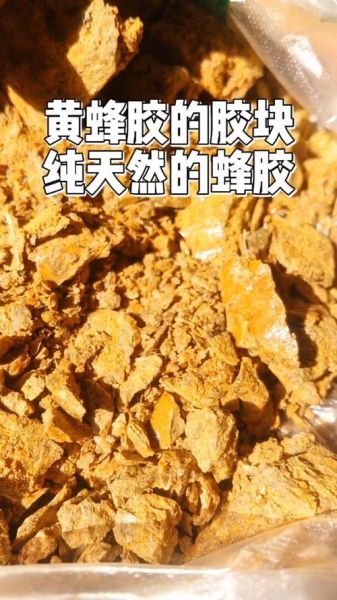 蜂胶长什么样子_蜂胶真假辨别方法-第2张图片-山城妙识