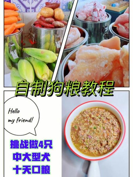 狗粮怎么制作_自制狗粮配方-第3张图片-山城妙识