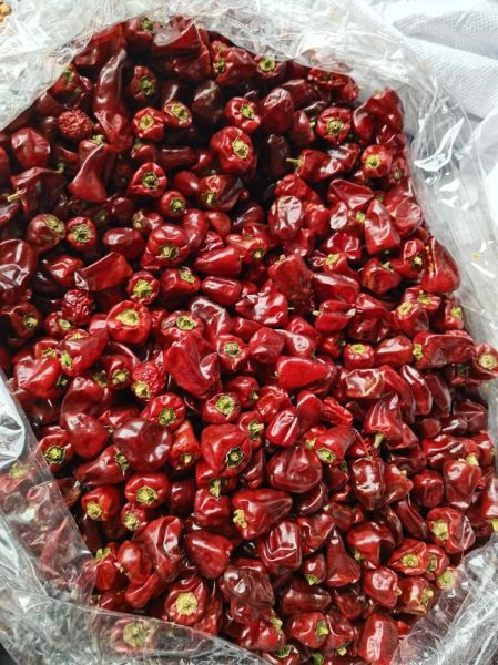 灯笼椒的功效与作用_吃灯笼椒会上火吗-第3张图片-山城妙识 灯笼椒的功效与作用_吃灯笼椒会上火吗-第3张图片-山城妙识