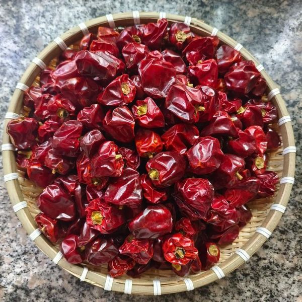 灯笼椒的功效与作用_吃灯笼椒会上火吗-第1张图片-山城妙识 灯笼椒的功效与作用_吃灯笼椒会上火吗-第1张图片-山城妙识