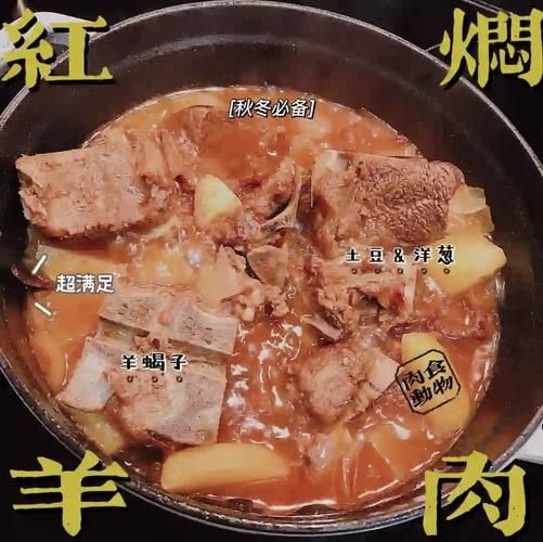 红焖羊肉最正宗的做法_家庭版详细步骤-第1张图片-山城妙识