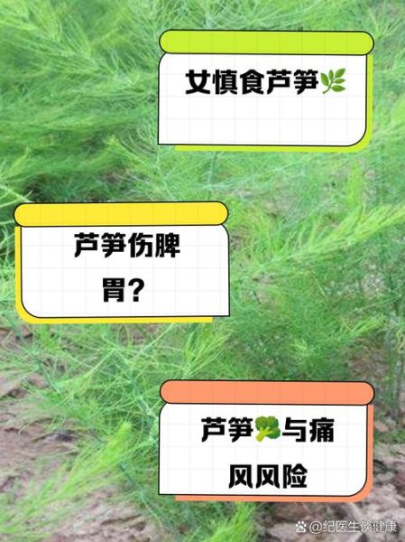 芦笋不能和什么一起吃_相克食物有哪些-第3张图片-山城妙识 芦笋不能和什么一起吃_相克食物有哪些-第3张图片-山城妙识