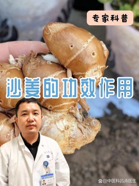 女人吃沙姜有什么好处_沙姜对女性有哪些功效-第3张图片-山城妙识