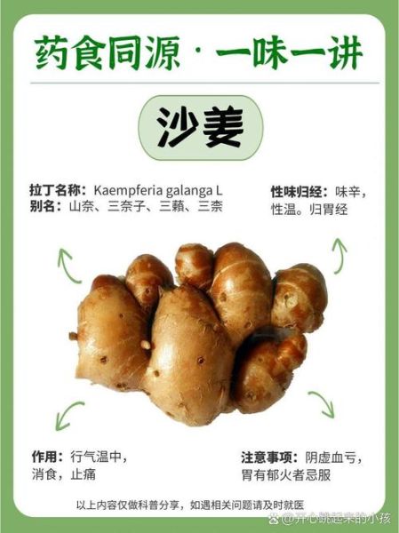 女人吃沙姜有什么好处_沙姜对女性有哪些功效-第1张图片-山城妙识