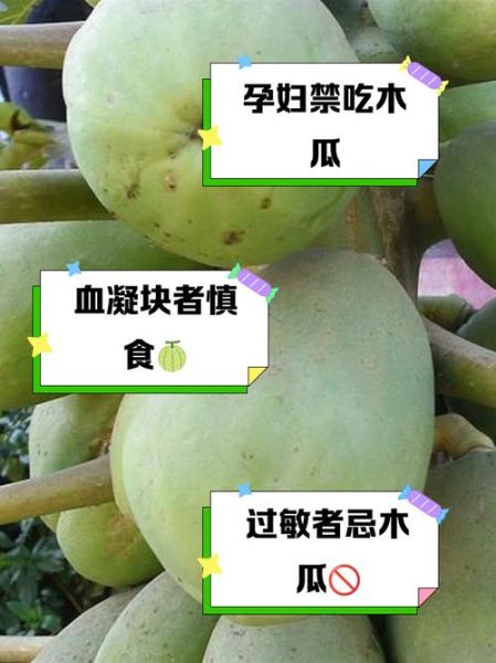 木瓜什么人不能吃_木瓜过敏症状有哪些-第2张图片-山城妙识 木瓜什么人不能吃_木瓜过敏症状有哪些-第2张图片-山城妙识