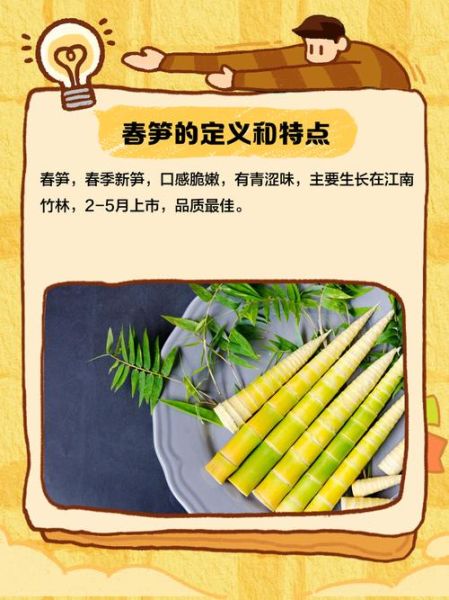 春笋的象征意义_春笋寓意什么-第1张图片-山城妙识