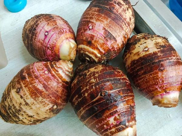 芋头蒸多久能熟_芋头蒸多久才软糯-第3张图片-山城妙识