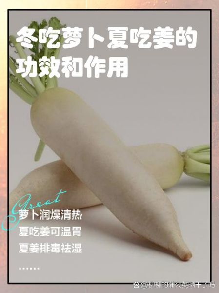 冬吃萝卜的好处有哪些_5大禁忌是什么-第1张图片-山城妙识