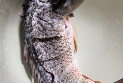 番茄酱脆皮鱼怎么做_番茄酱脆皮鱼家常做法-第1张图片-山城妙识