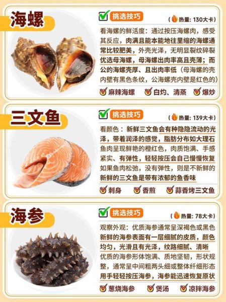 海鲜大全名称有哪些_海鲜大全图片怎么认-第3张图片-山城妙识 海鲜大全名称有哪些_海鲜大全图片怎么认-第3张图片-山城妙识