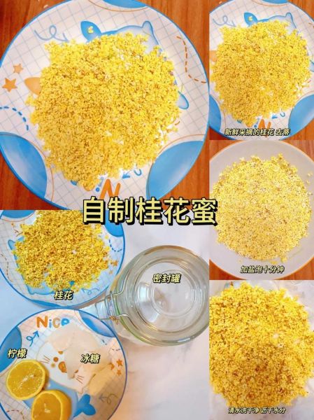 桂花蜜怎么制作_自制桂花蜜的正确做法-第2张图片-山城妙识