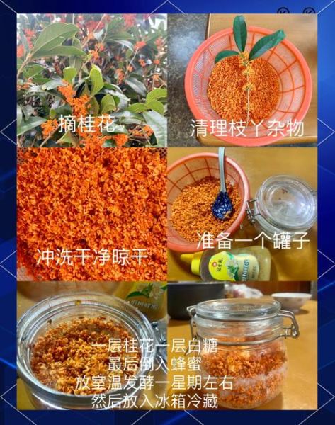 桂花蜜怎么制作_自制桂花蜜的正确做法-第1张图片-山城妙识