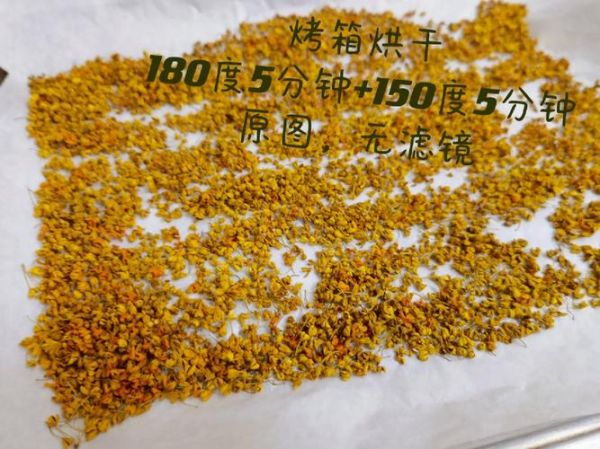鲜桂花怎么弄干_桂花干保存方法-第1张图片-山城妙识