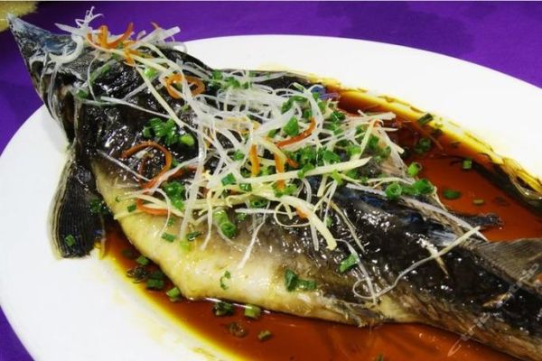 中华鲟图片_中华鲟怎么做好吃-第2张图片-山城妙识
