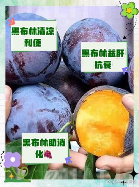 黑布林水果的功效与作用_黑布林怎么吃最好-第1张图片-山城妙识 黑布林水果的功效与作用_黑布林怎么吃最好-第1张图片-山城妙识