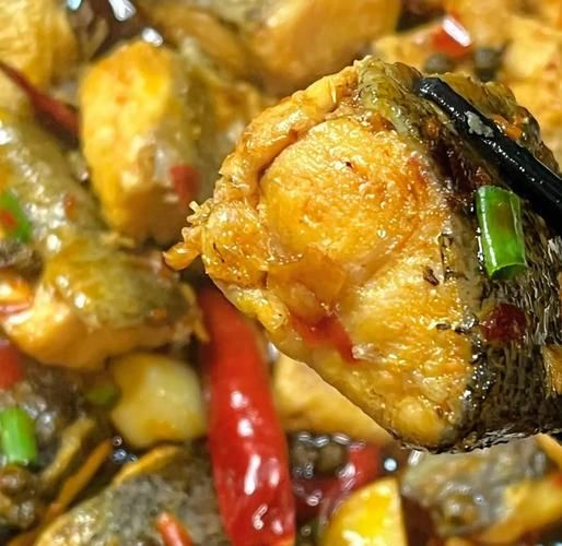 白鲢鱼怎么做好吃_白鲢鱼做法大全-第2张图片-山城妙识 白鲢鱼怎么做好吃_白鲢鱼做法大全-第2张图片-山城妙识