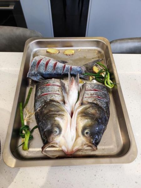 白鲢鱼怎么做好吃_白鲢鱼做法大全-第3张图片-山城妙识 白鲢鱼怎么做好吃_白鲢鱼做法大全-第3张图片-山城妙识