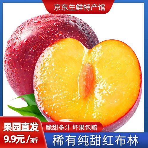 黑布林水果的功效与作用_黑布林怎么吃最好-第3张图片-山城妙识 黑布林水果的功效与作用_黑布林怎么吃最好-第3张图片-山城妙识