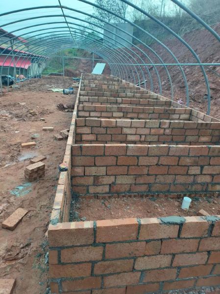 大棚养殖黄鳝养殖池怎么建_大棚养殖黄鳝养殖池多少钱-第2张图片-山城妙识